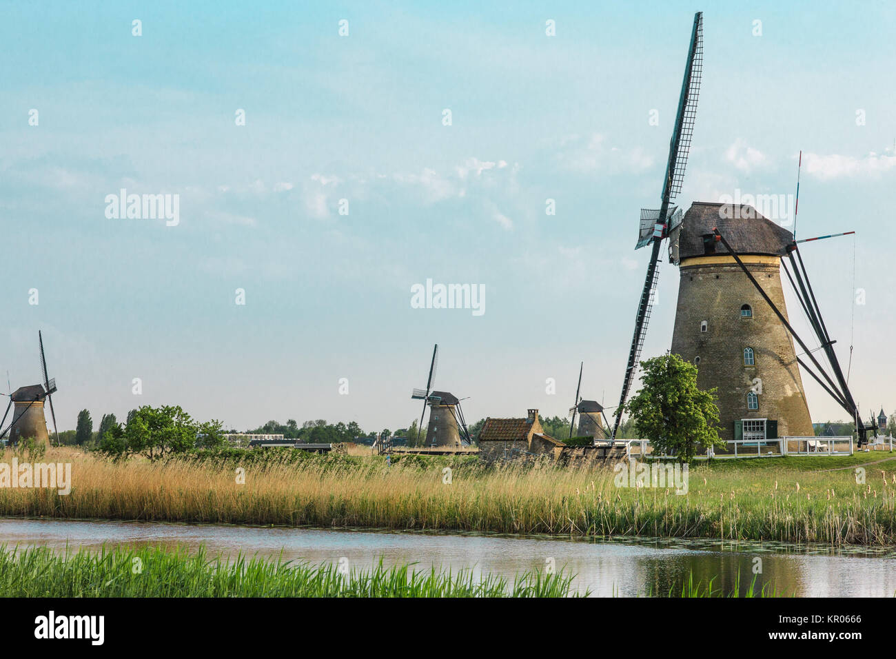 Traditional Dutch windmills with green grass in the foreground, The ...