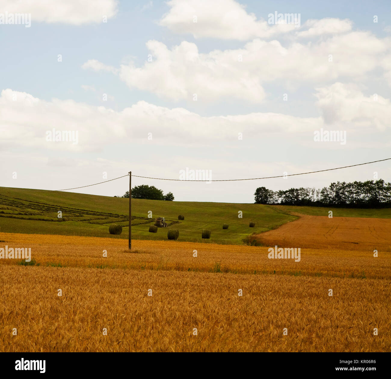 Fields with tractor Stock Photo - Alamy