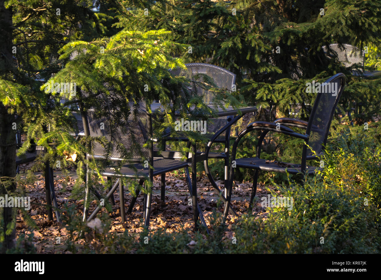 Table and chairs in the forest photo Stock Photo - Alamy