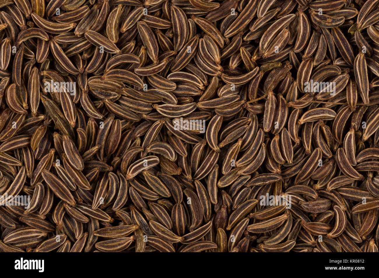 Close up caraway seeds Stock Photo - Alamy