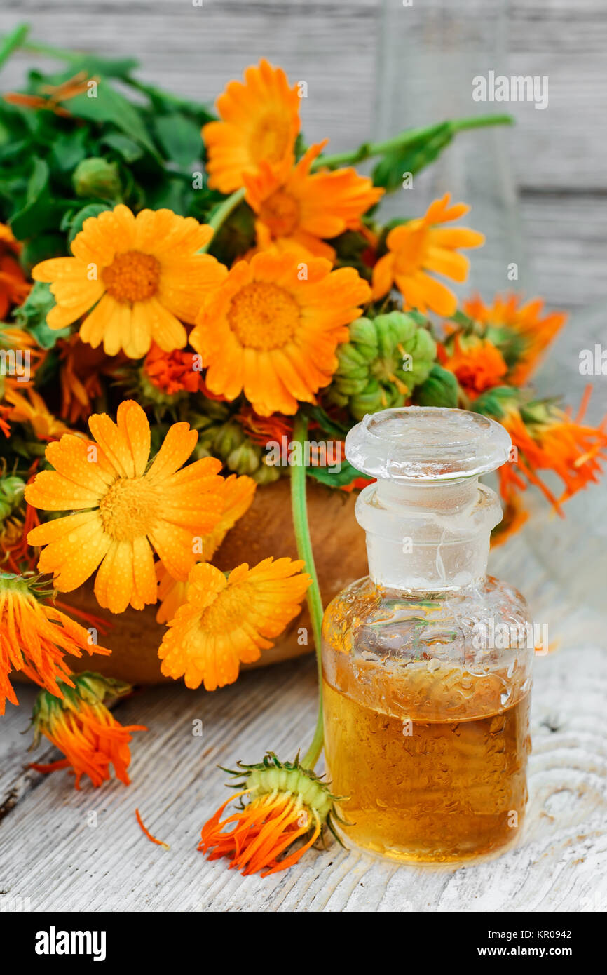 bottle of medicinal tincture of calendula flowers in folk recipe Stock ...