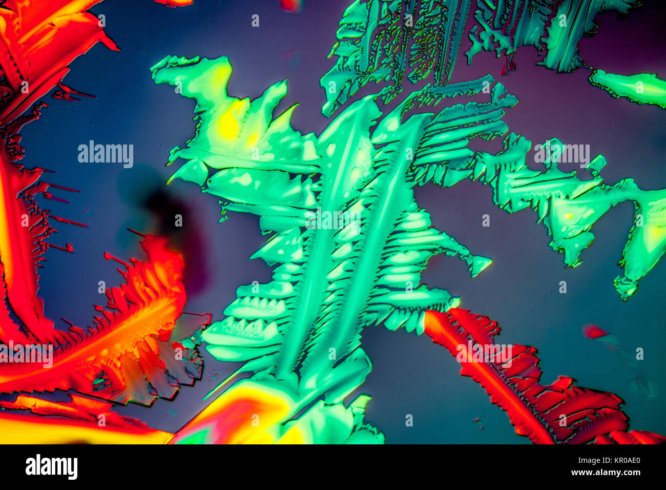 Urea crystals hi-res stock photography and images - Alamy
