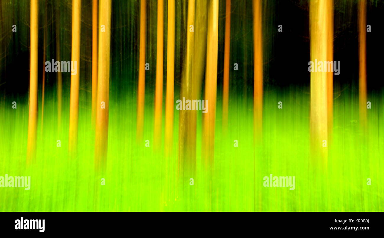 intense spring green - wiper image - wiper forest Stock Photo - Alamy