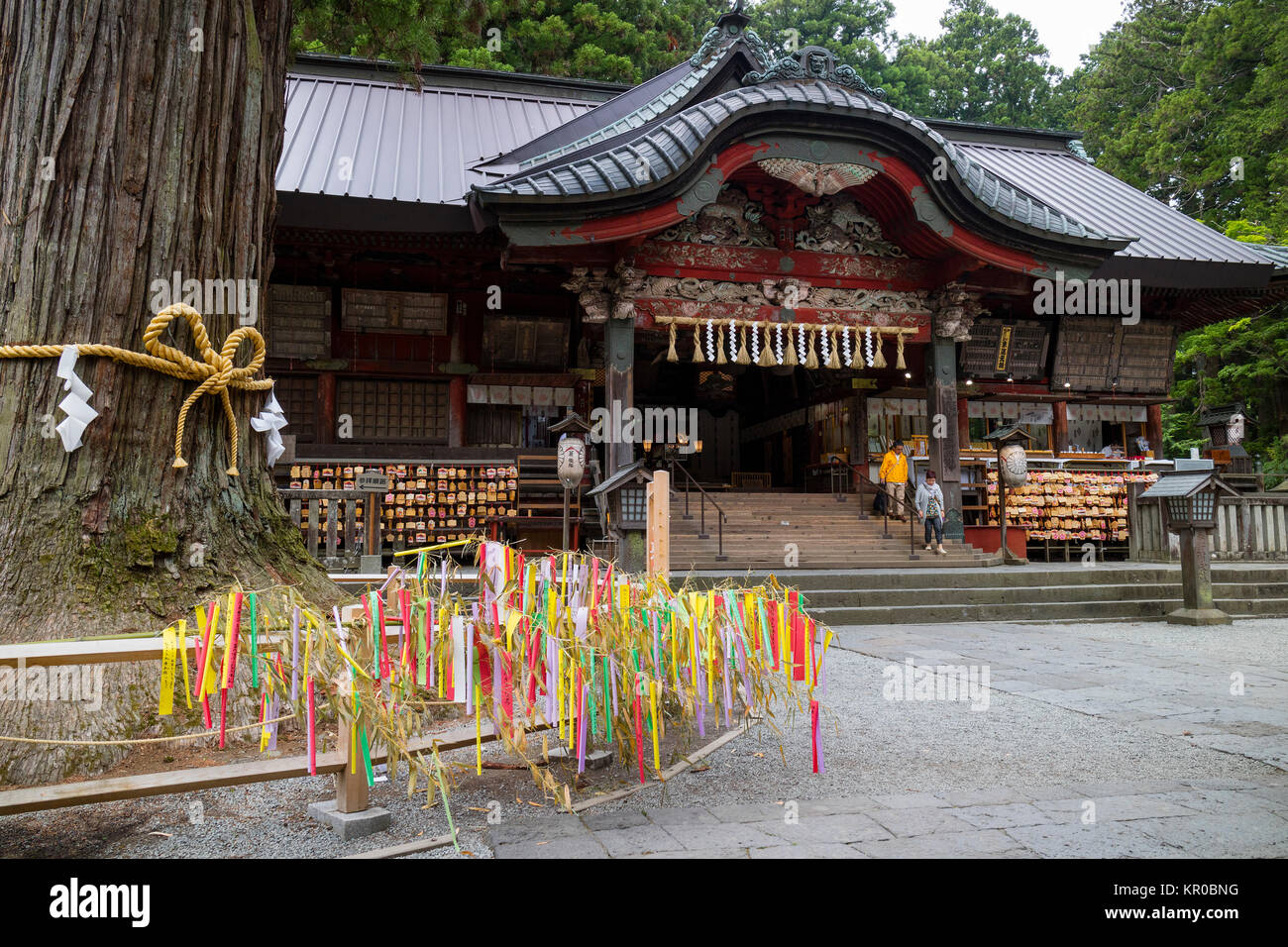 Sacred tree japan hi-res stock photography and images - Alamy