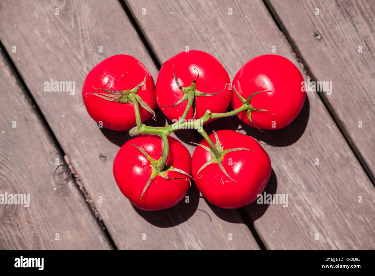 Five red tomatoes in olympic circles shape at wood background floor ...
