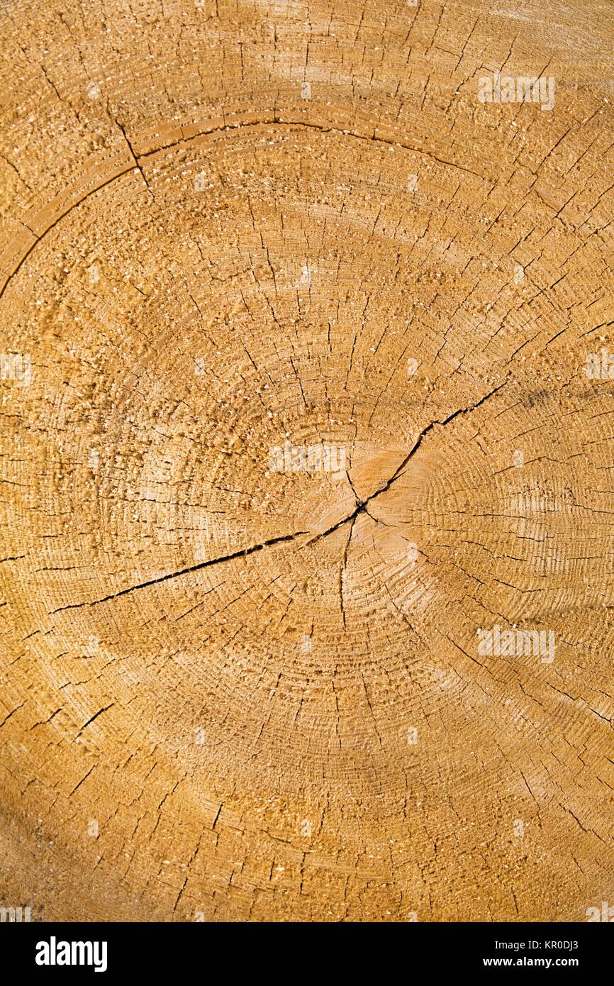 brown timber material structure Stock Photo - Alamy