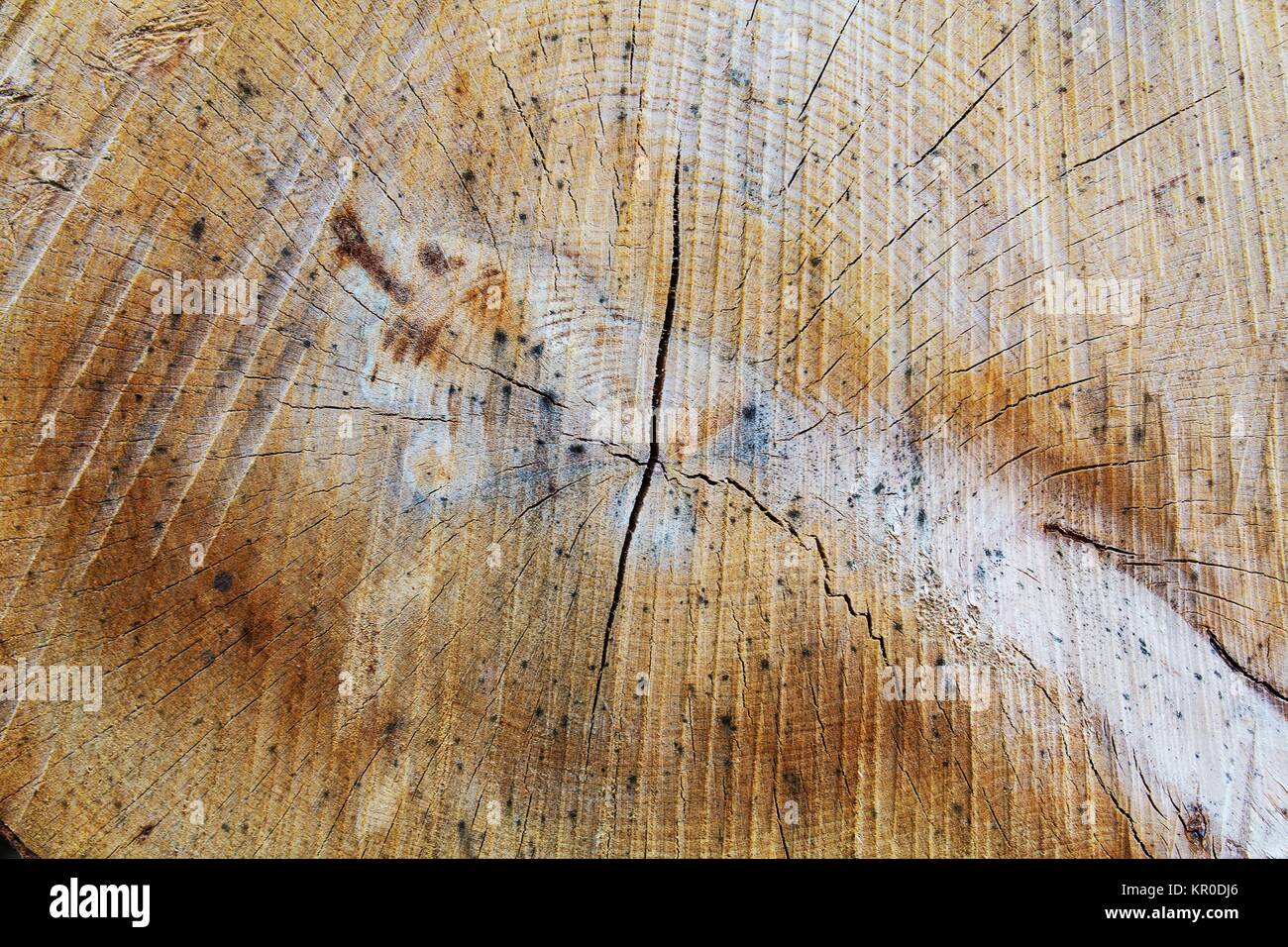 brown timber material structure Stock Photo - Alamy