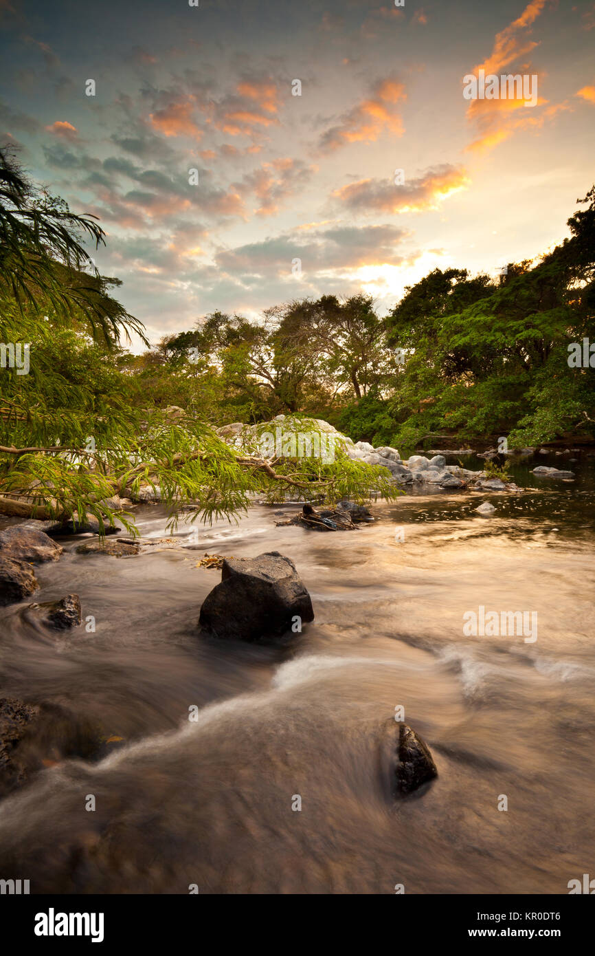 Rainforest landscape sunset hi-res stock photography and images - Alamy