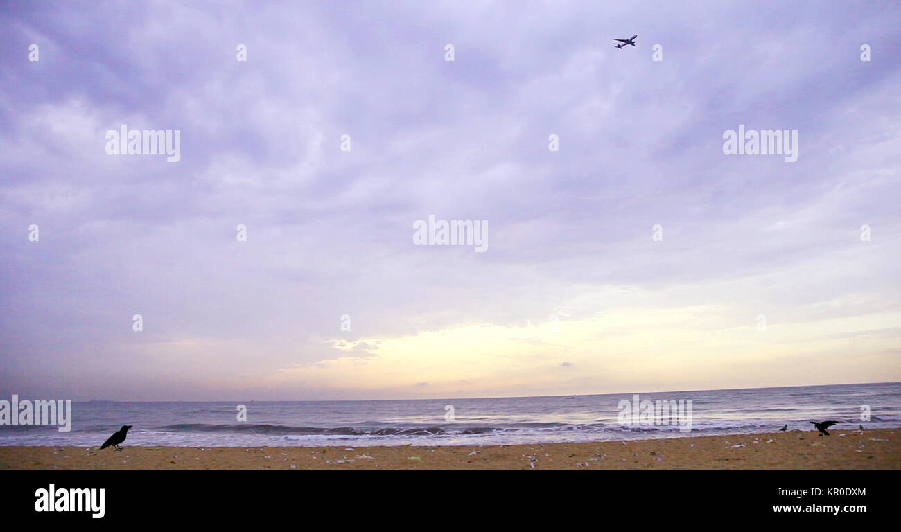 Airplane flying over amazing ocean or beach landscape with tropical ...