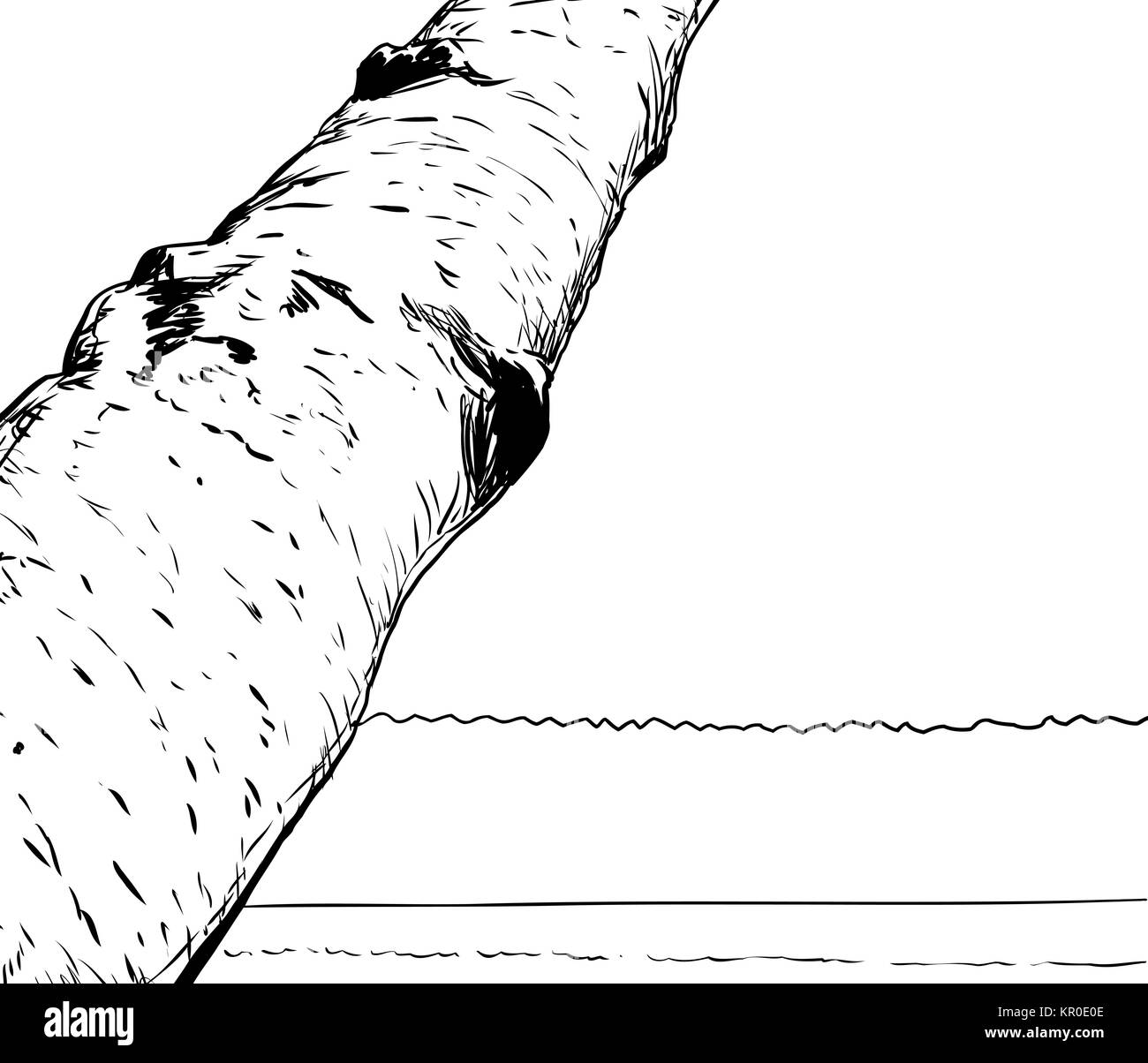 Outline sketch of storm in wilderness Stock Photo - Alamy