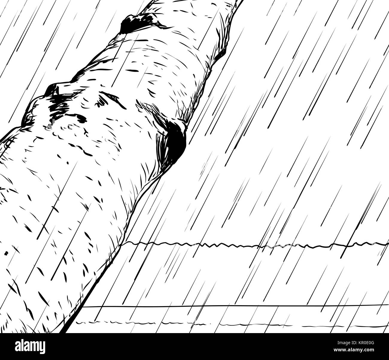 Outline of rain storm in wilderness background Stock Photo - Alamy