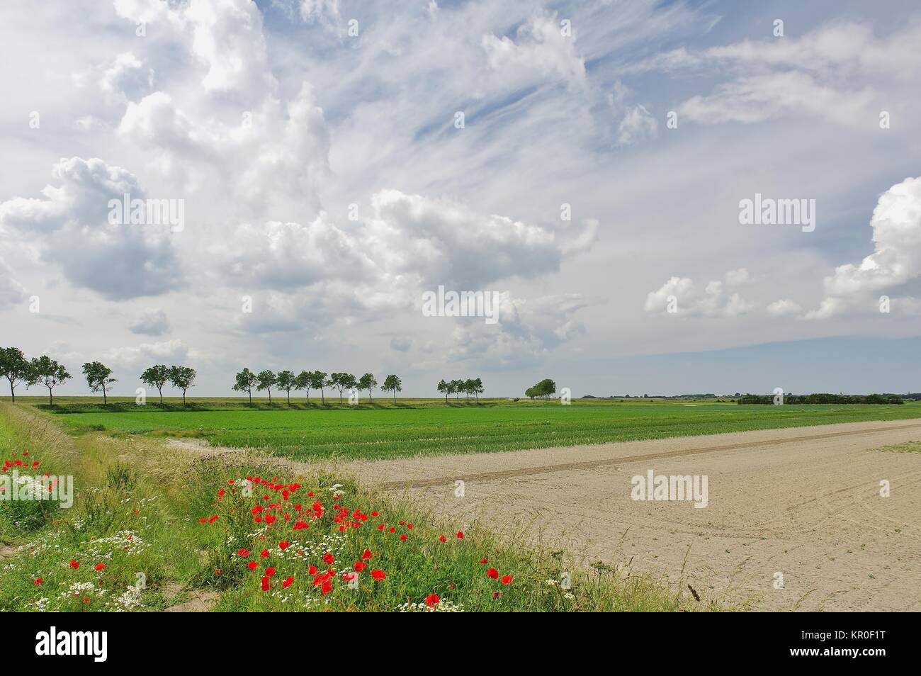 dikes and fields landscape in ouddorp,goeree-overflakkee,south ...