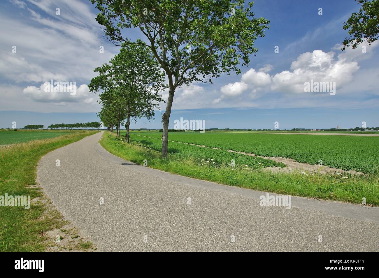 dikes and fields landscape in ouddorp,goeree-overflakkee,south ...