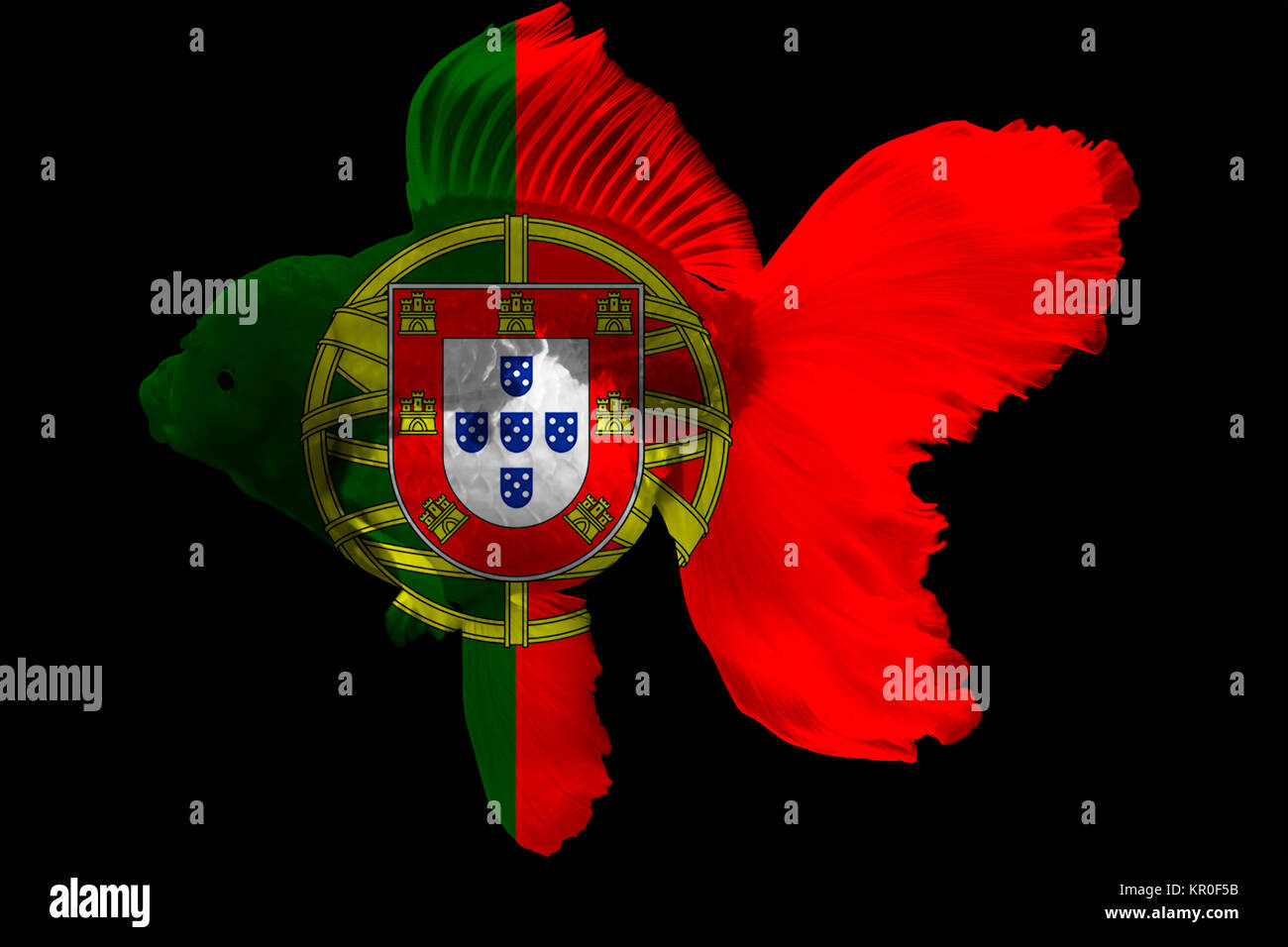 Flag of Portugal on goldfish Stock Photo - Alamy