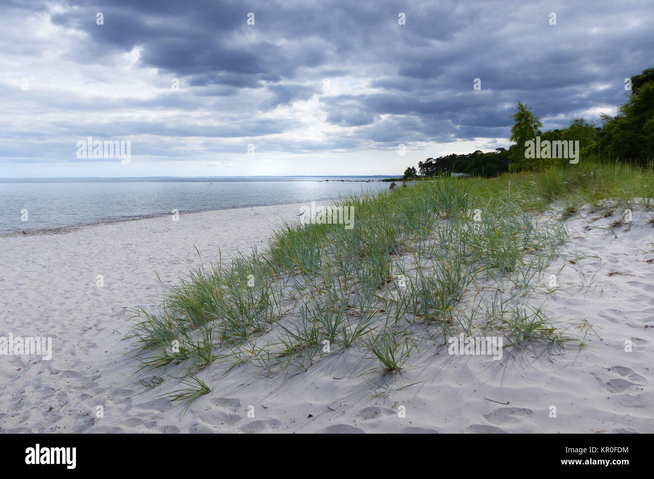 beach with storm clouds Stock Photo - Alamy
