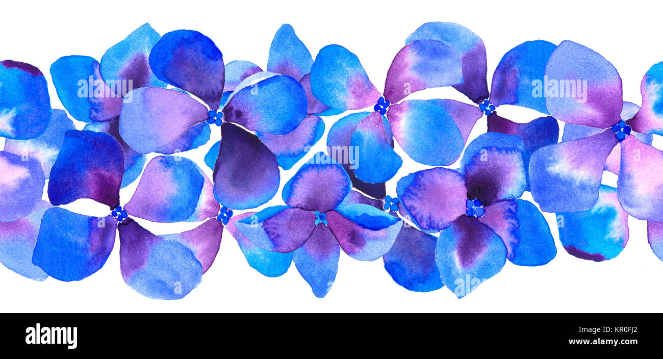 seamless repeatable watercolor hydrangea flower border on white Stock ...