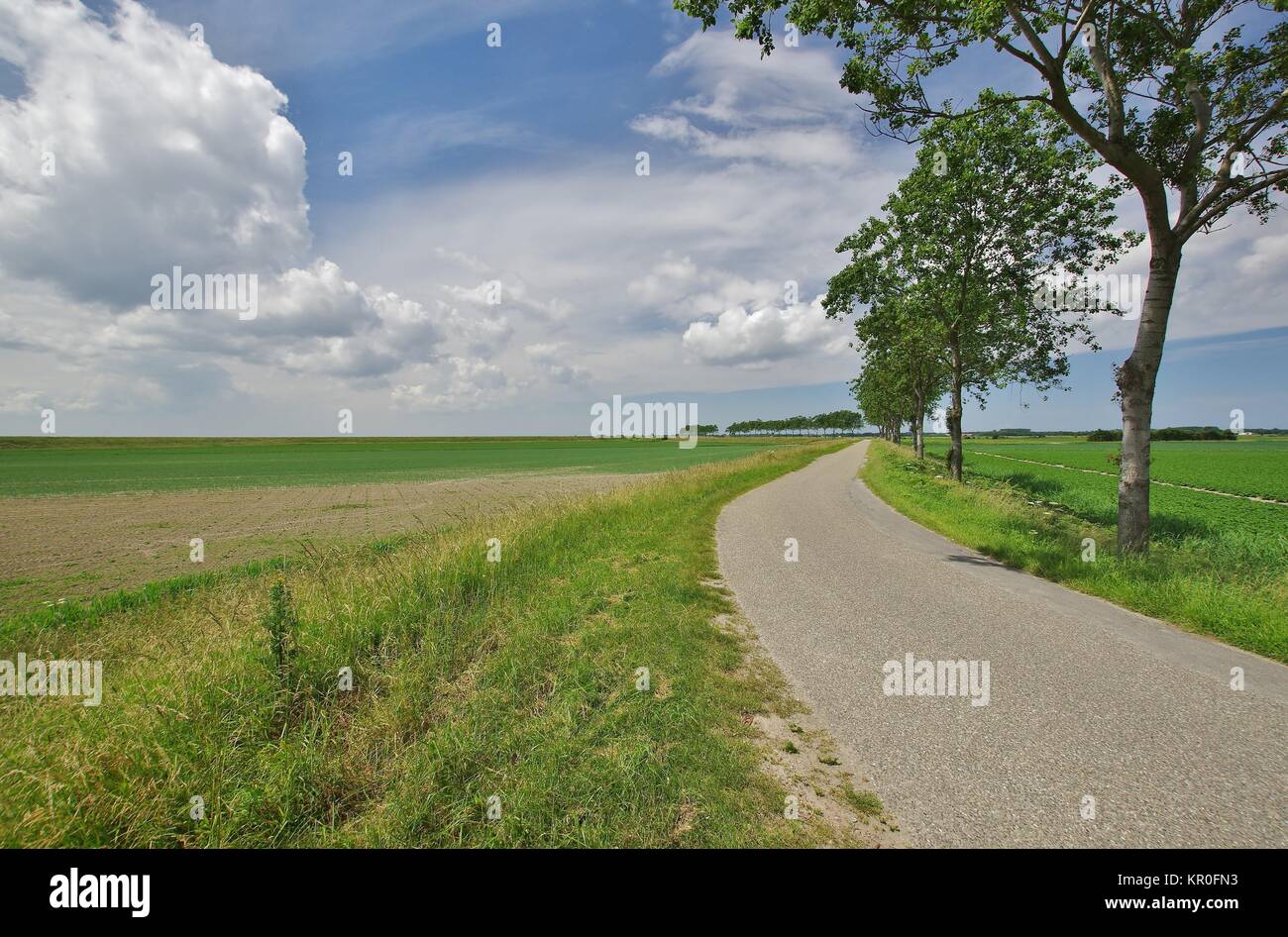 dikes and fields landscape in ouddorp,goeree-overflakkee,south ...
