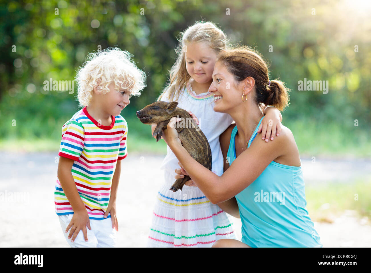 Kids play with farm animals. Child feeding domestic animal. Mother ...