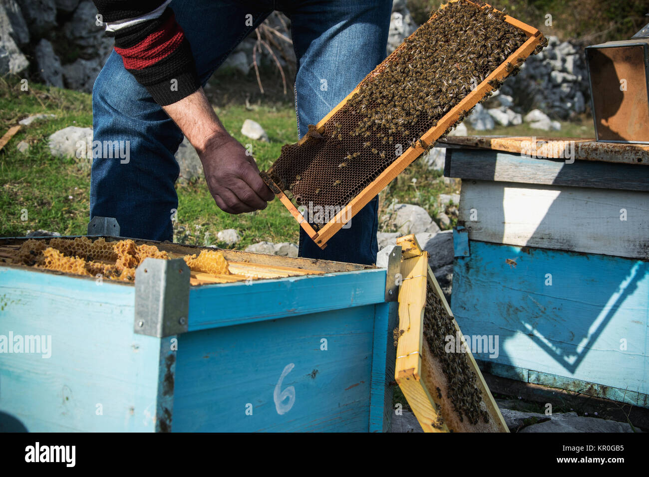 Beekeeper with the beehive. Authentic farm life Stock Photo - Alamy