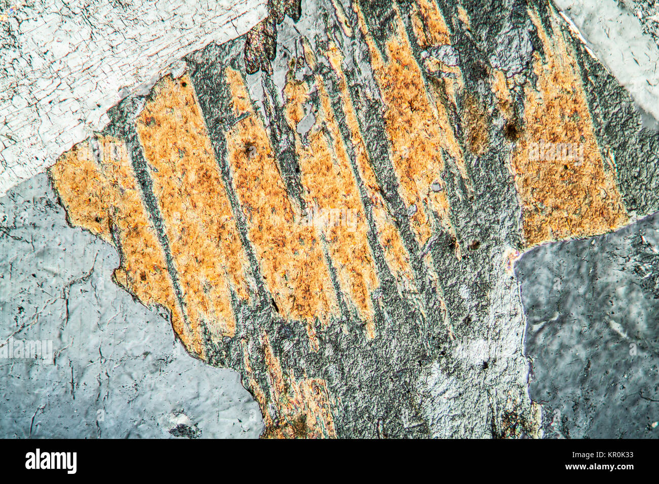 Epidote Chlorite Thin Section
