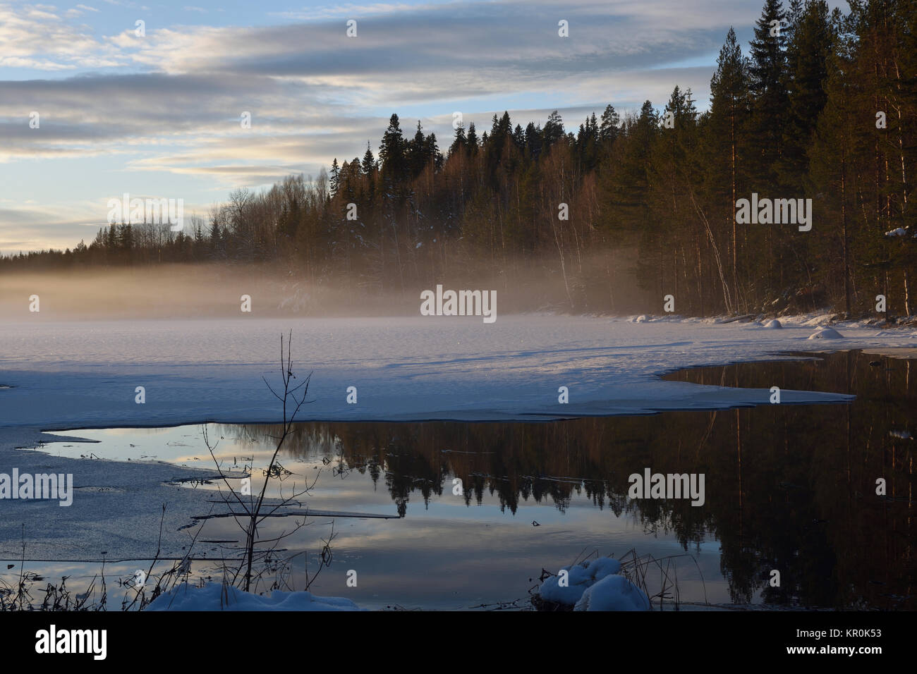 Midwinter day in the North of Sweden with fog over a frozen lake with a ...