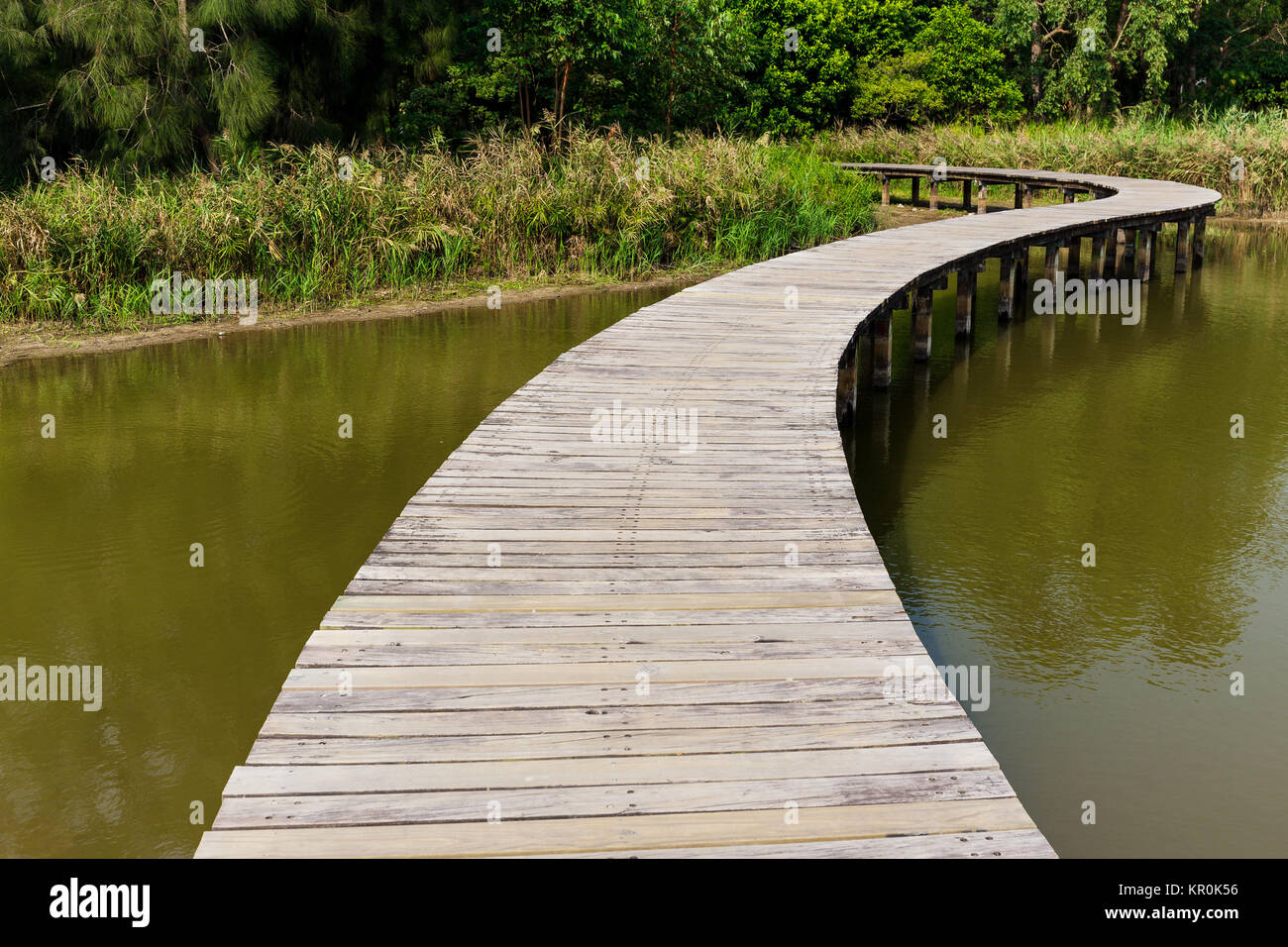 Hong Kong Wetland Park wooden walk way Stock Photo - Alamy