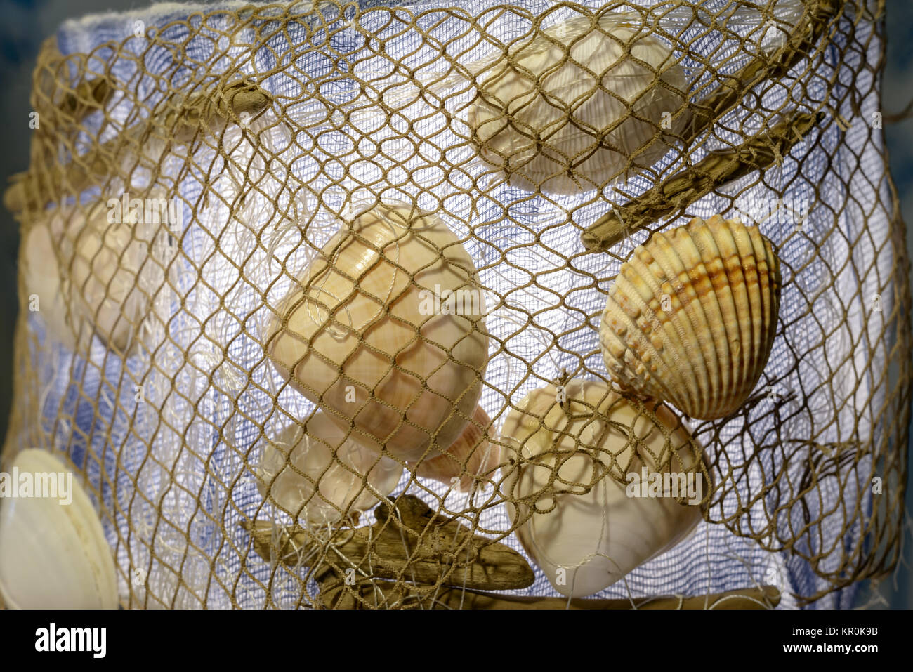 shell and net Stock Photo - Alamy