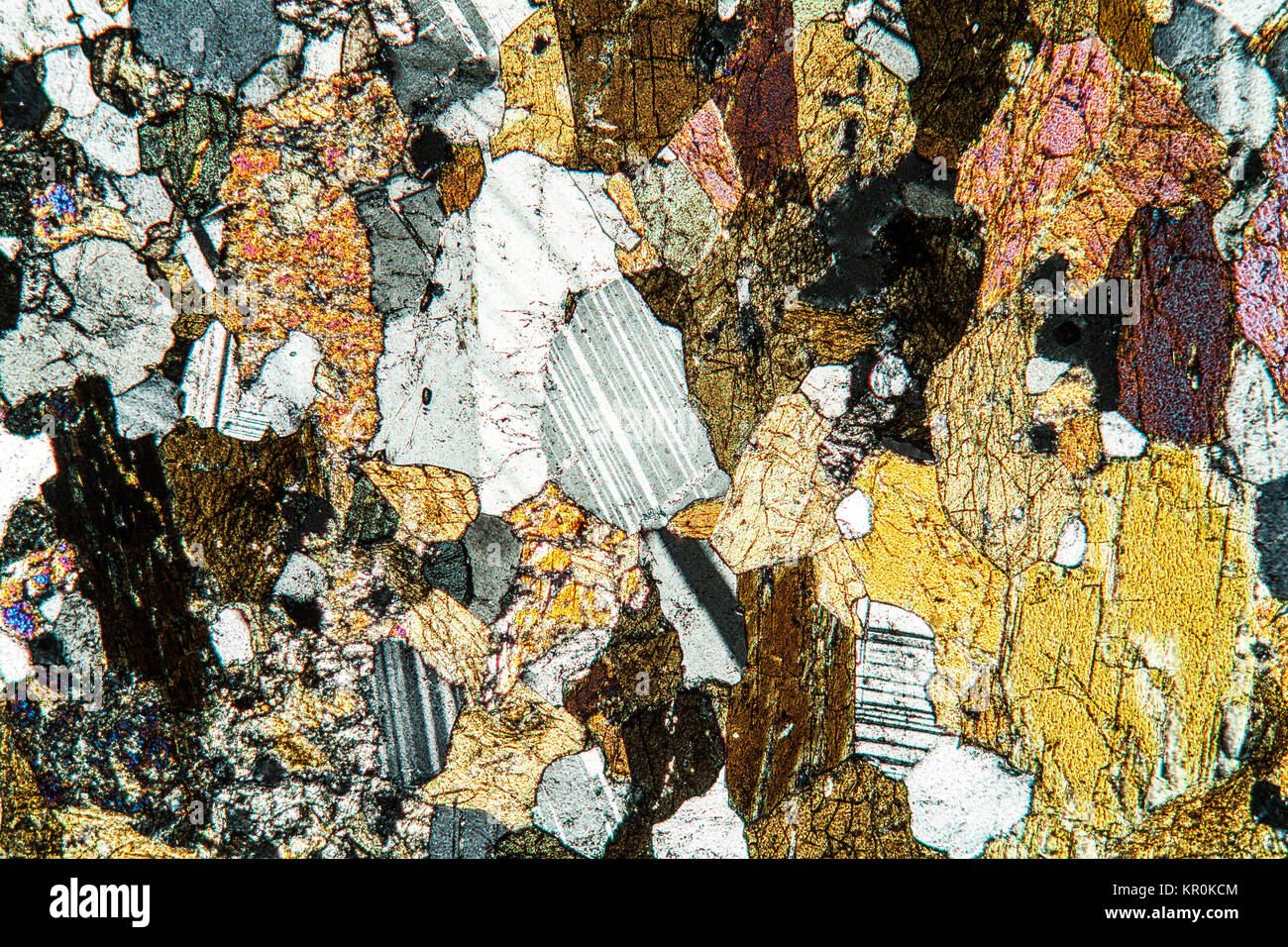 Amphibolite Schist Thin Section