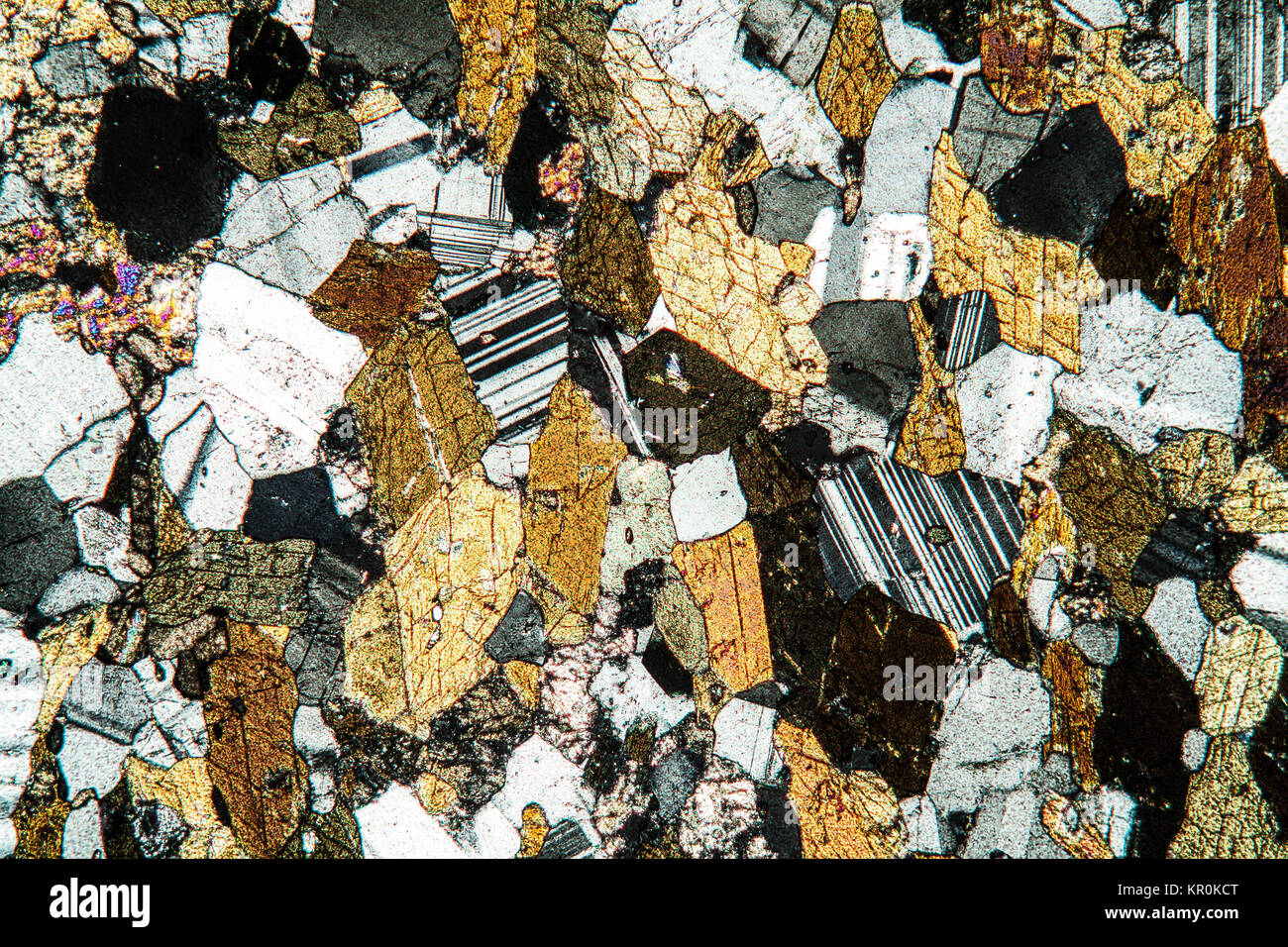 Hornblende Thin Section