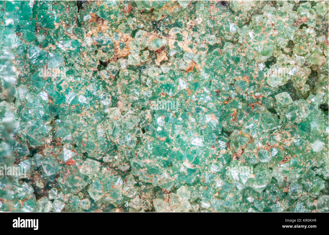 Adamin hi-res stock photography and images - Alamy