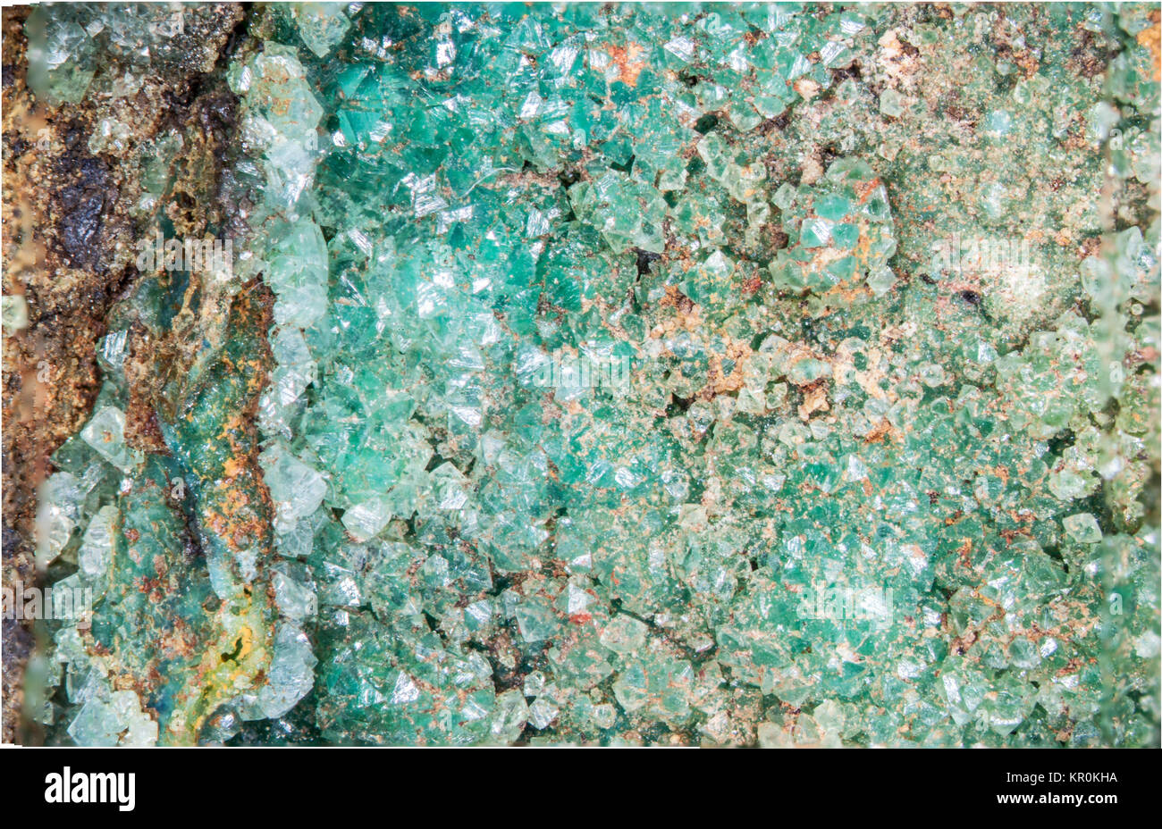 Adamin hi-res stock photography and images - Alamy