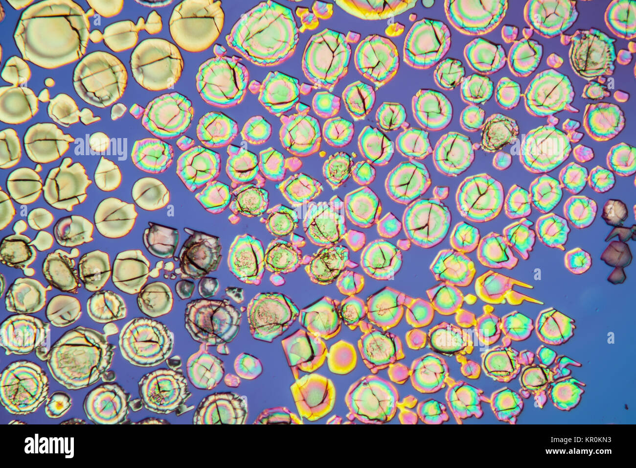 Diuretikum hi-res stock photography and images - Alamy