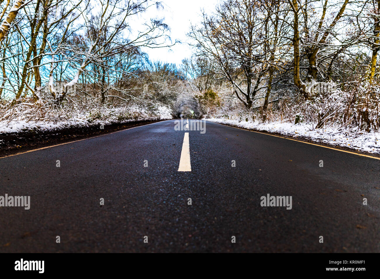 Professional landscape hi-res stock photography and images - Alamy