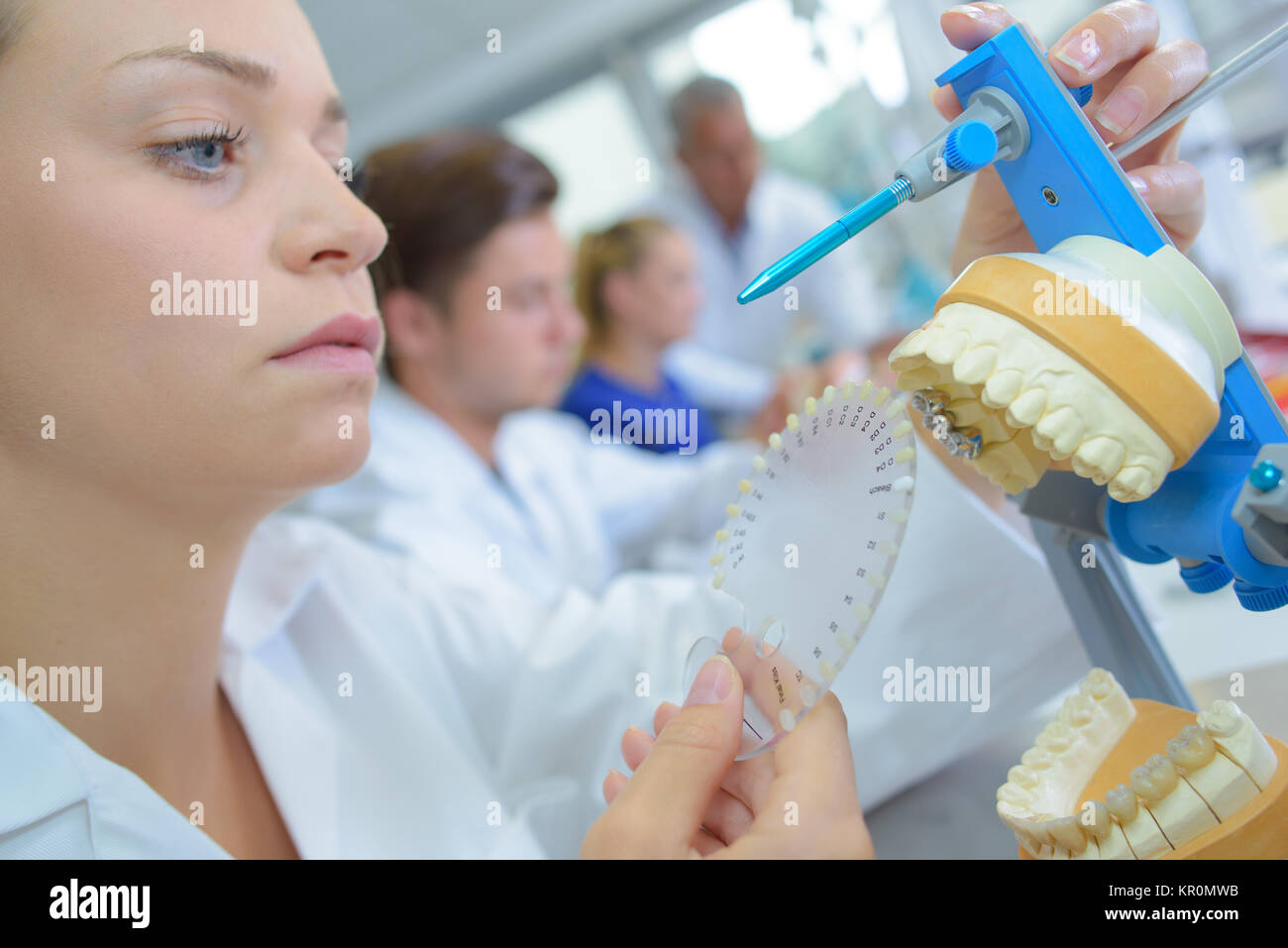 Lady in a laboratory making dentures Stock Photo - Alamy