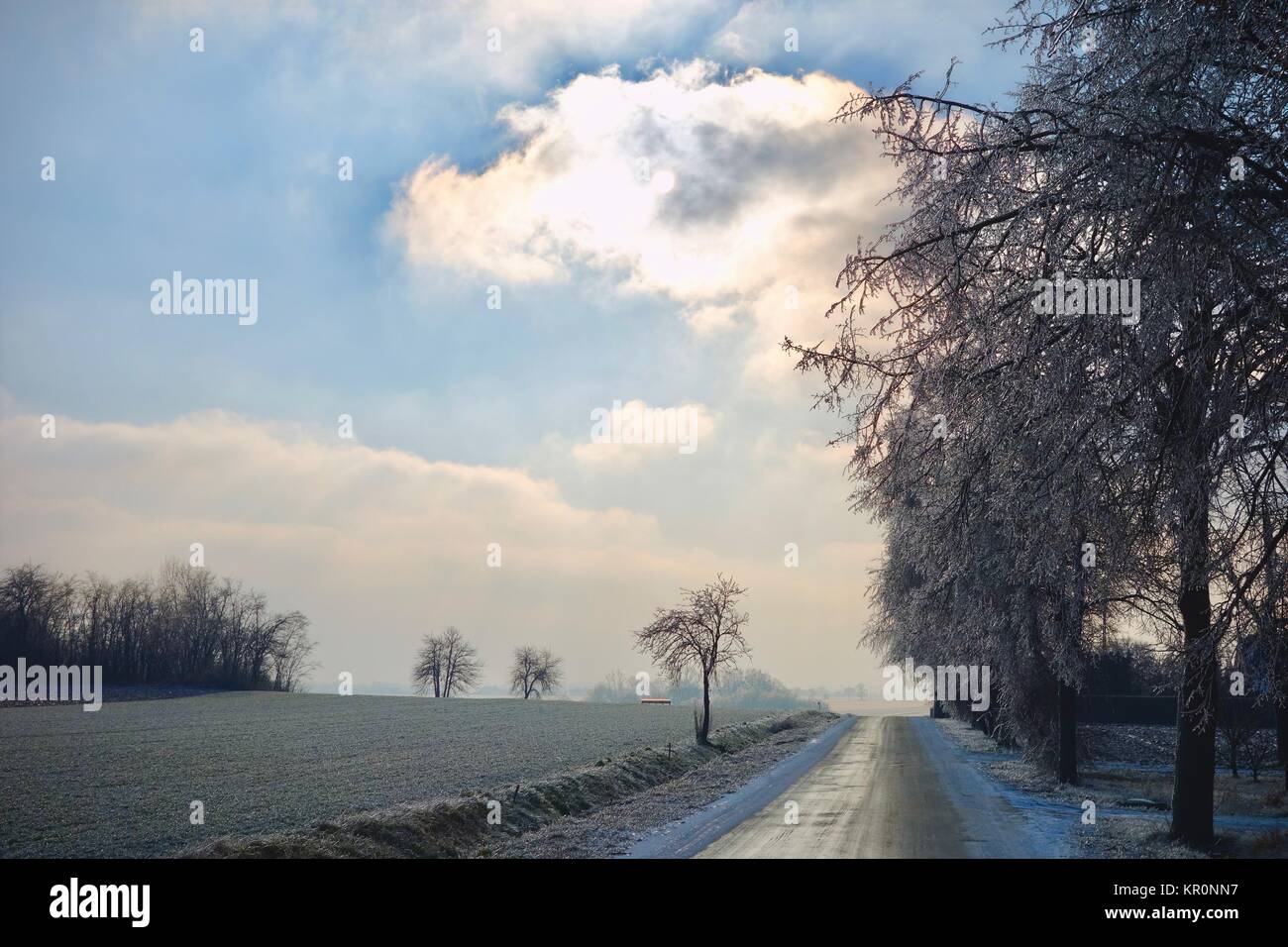 frozen street and branches on cold clear winter and blue sky Stock ...
