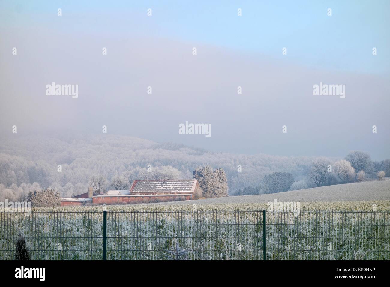frozen field and trees on cold foogy winter and a farm in the ...