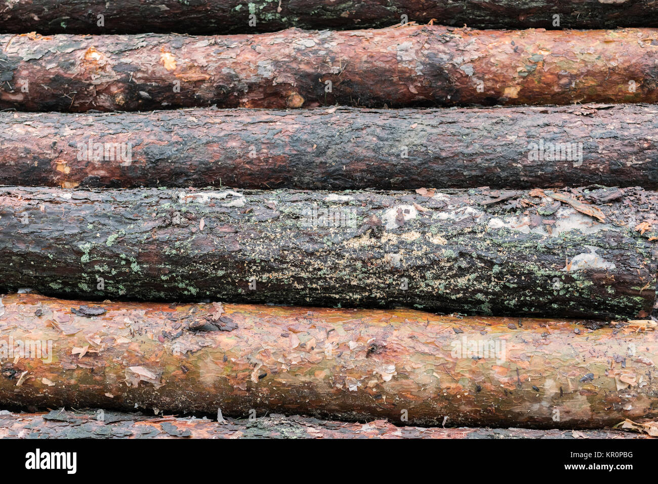 Brown wood log wall surface background image Stock Photo - Alamy