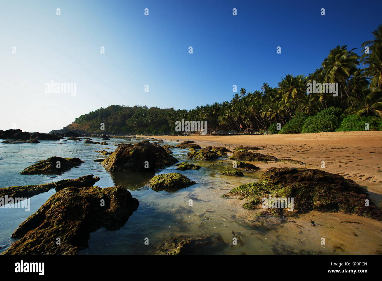 Cola beach, southern Goa India in a sunny day landscape Stock Photo - Alamy
