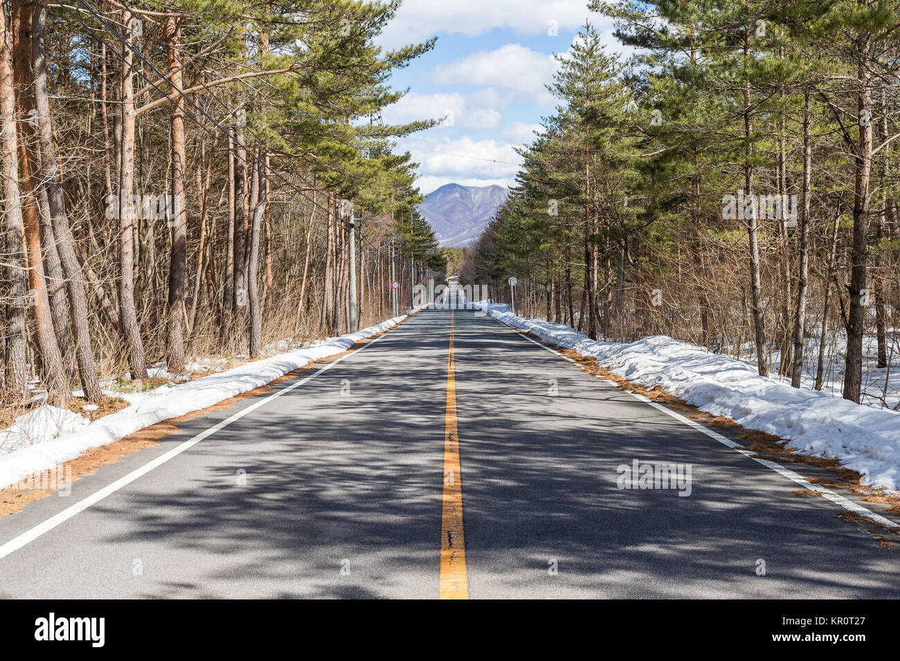 Road through snowy forest Stock Photo - Alamy
