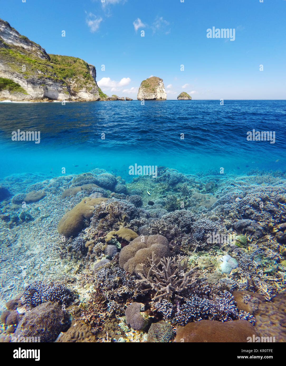 Underwater and surface split view in the tropics Stock Photo - Alamy