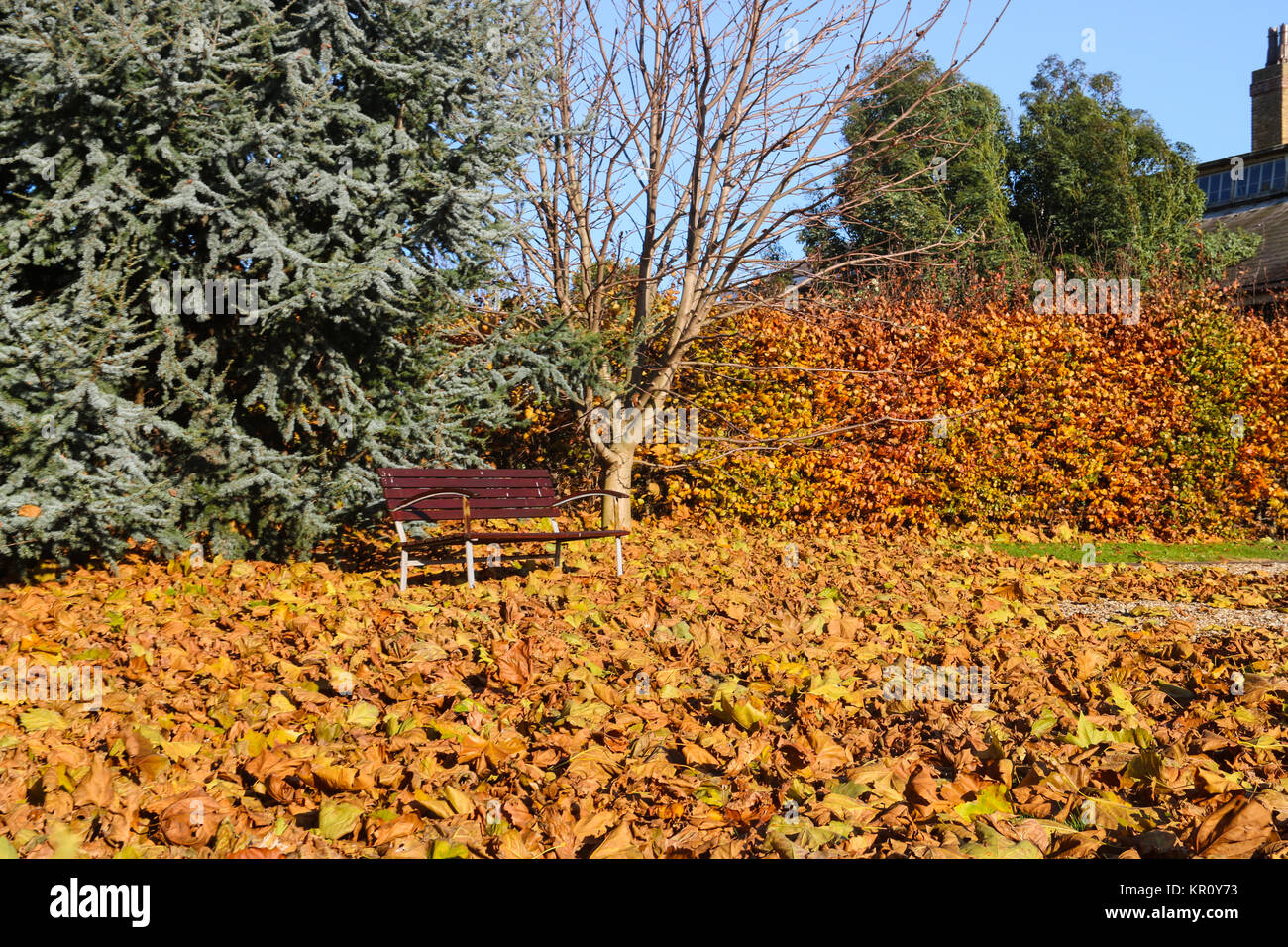 Former East Barracks Cemetery - Autumn Stock Photo - Alamy