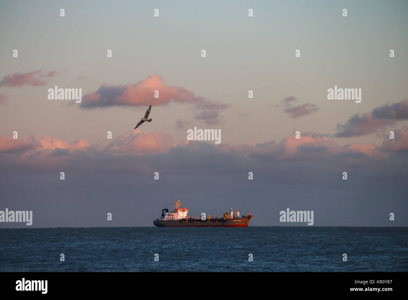 Ship and Bird Walmer Twilight Stock Photo - Alamy