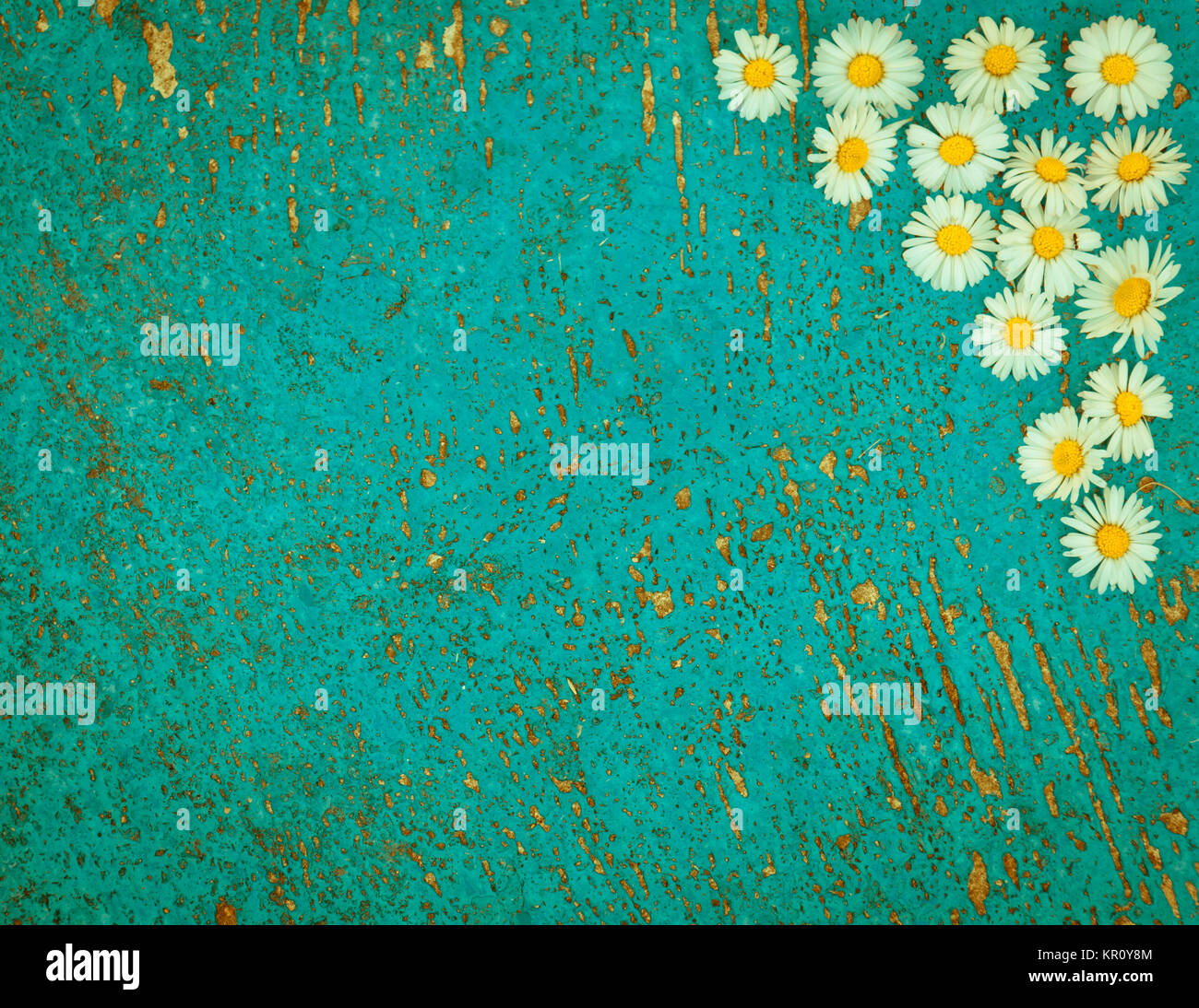 Light blue old textured background with daisy flowers turquoise ...