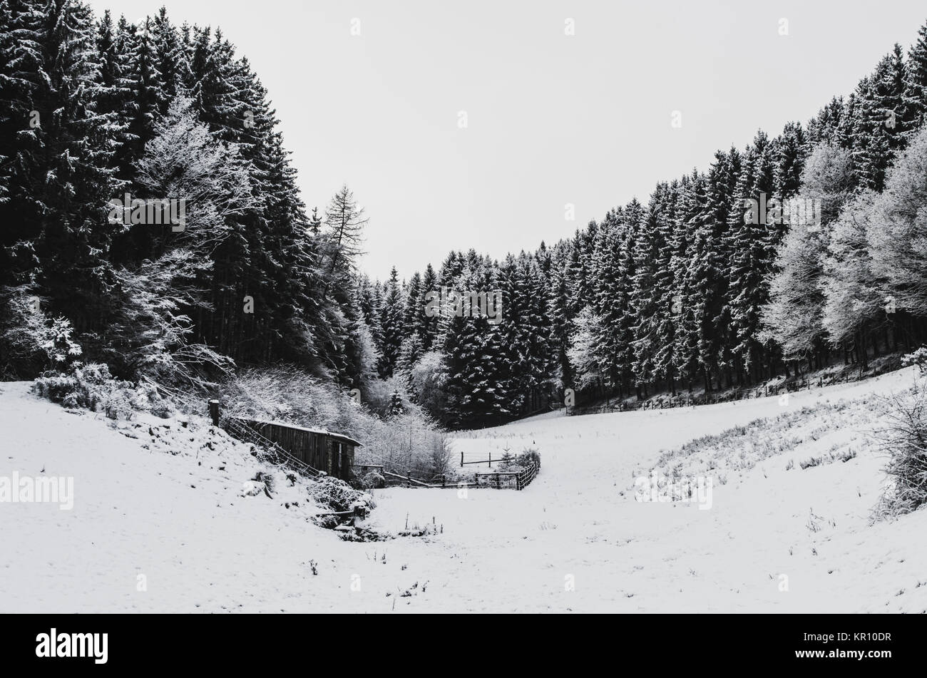 Winter landscape in the surroundings of Hellenthal, Germany Stock Photo ...