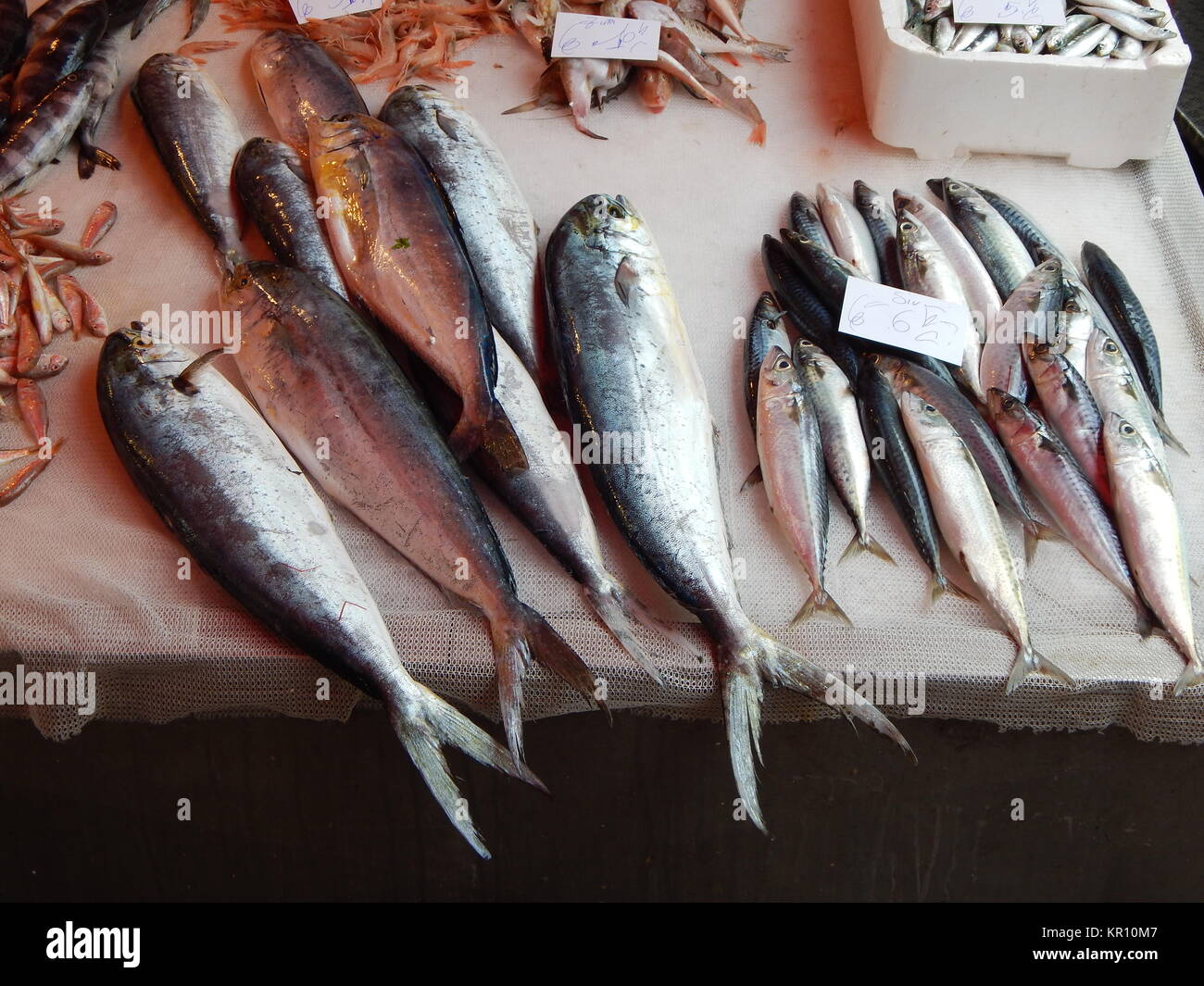 fish market,fresh fish straight from the sea Stock Photo - Alamy