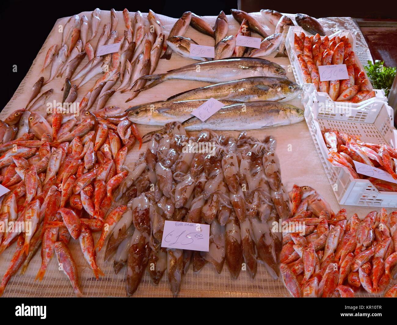Tuben High Resolution Stock Photography and Images - Alamy