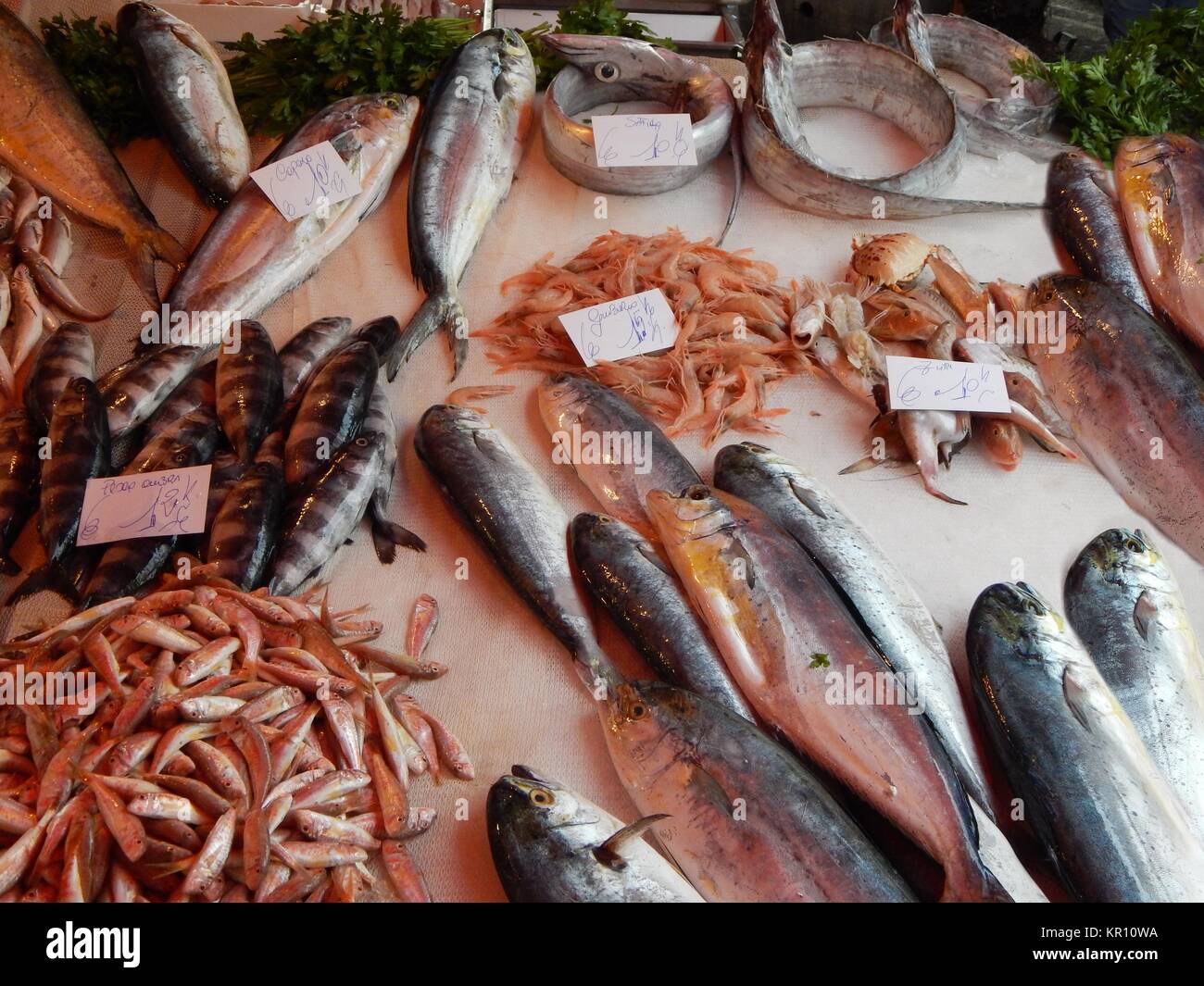 stored on ice fresh fish at the market Stock Photo - Alamy