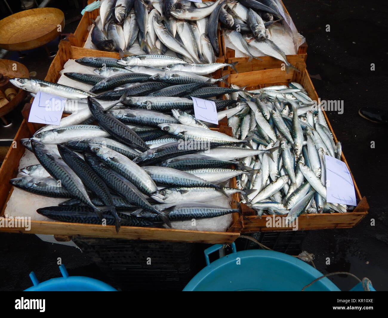 fresh fish directly from fishing boats Stock Photo - Alamy
