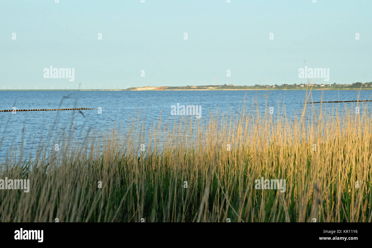 wadden sea national park Stock Photo - Alamy
