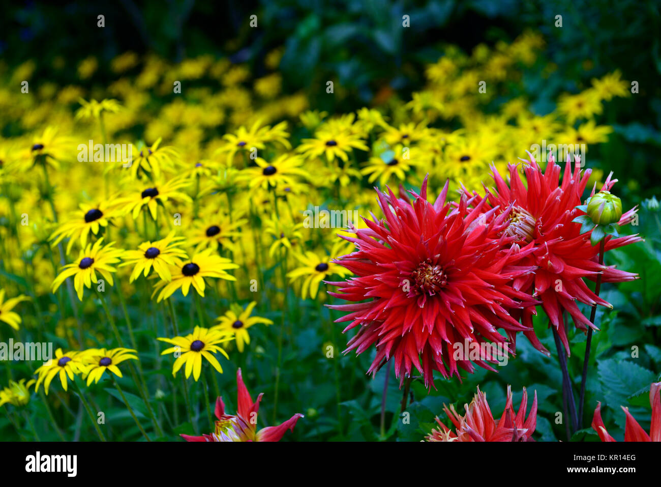 Show and tell hi-res stock photography and images - Alamy